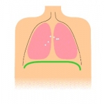 Blog - What happens when the wind is knocked out of you?